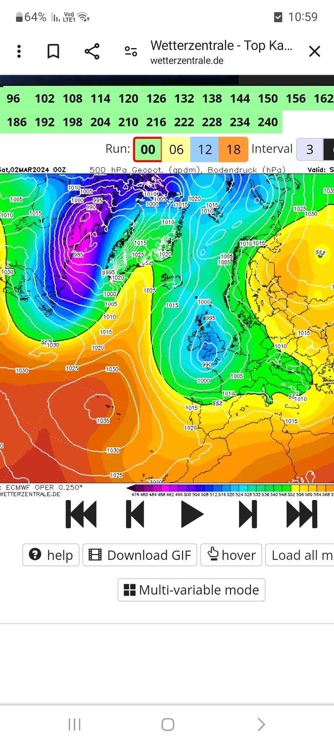 תמונה נהדרת - מישהו מזהה אלו ציפורים אלו? - Weather2day
