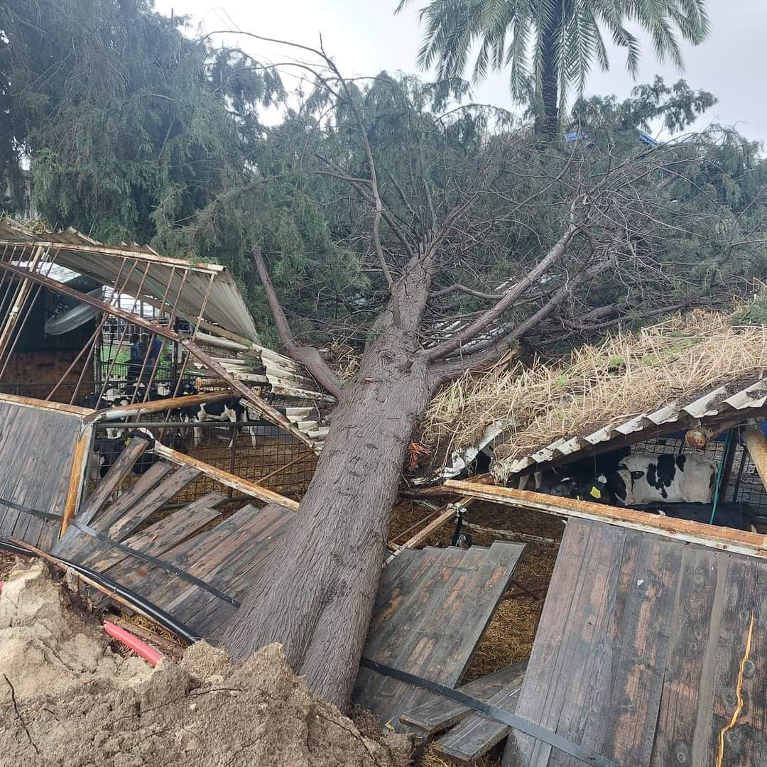 סופר סל (Supercell) בעמק? רוחות חזקות וגשמי זעף בעמק הירדן - Weather2day